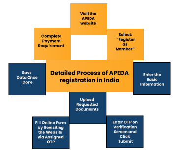 Application for APEDA (RCMC) Registration | CA Rajput Jain