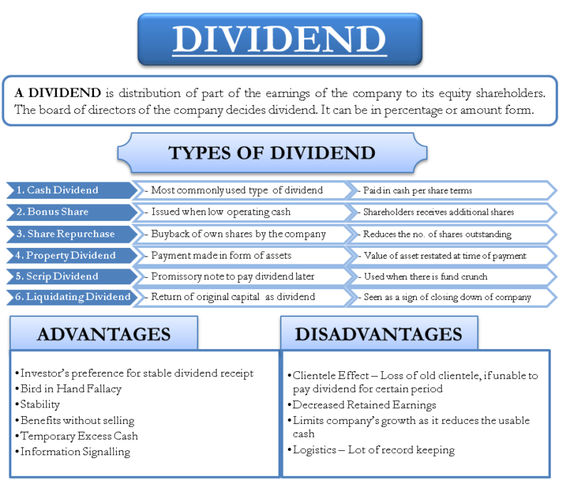 Interim Dividend as per Companies Act | CA Rajput Jain