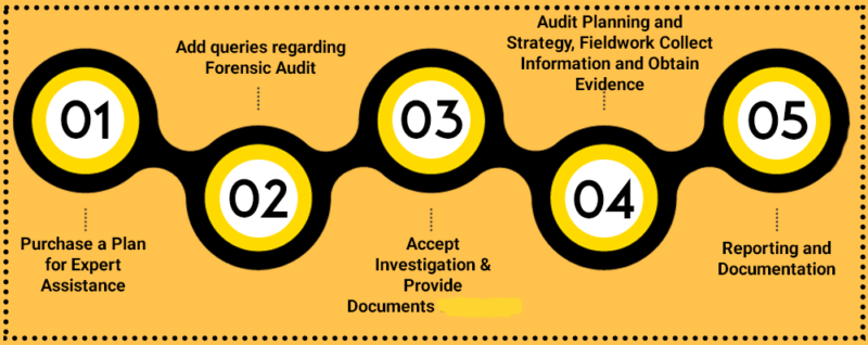 What is the forensic Audit? | Rajput Jain and Associates